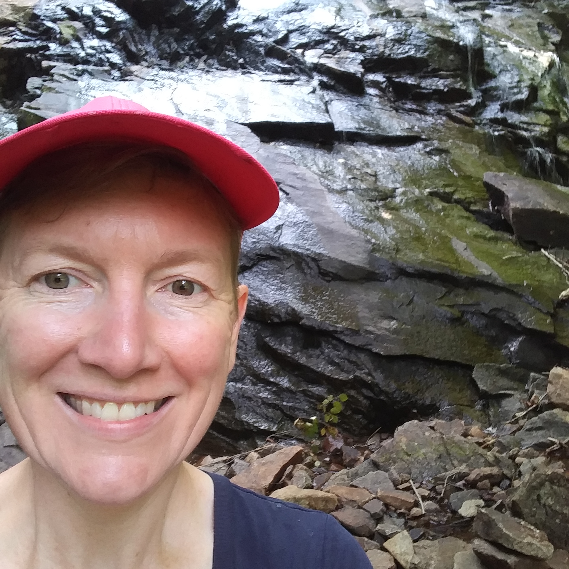 About – Rebecca Donnelly